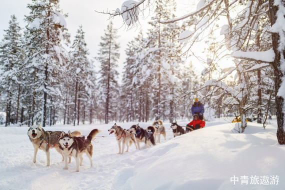 【睿游欧洲】【寻猎北极光】芬兰+北挪威8日游【特罗姆瑟+阿尔塔+萨利色尔卡/观鲸+冰钓+雪地摩托+狗拉雪橇+鹿拉雪橇+圣诞老人村】-中青旅遨游网
